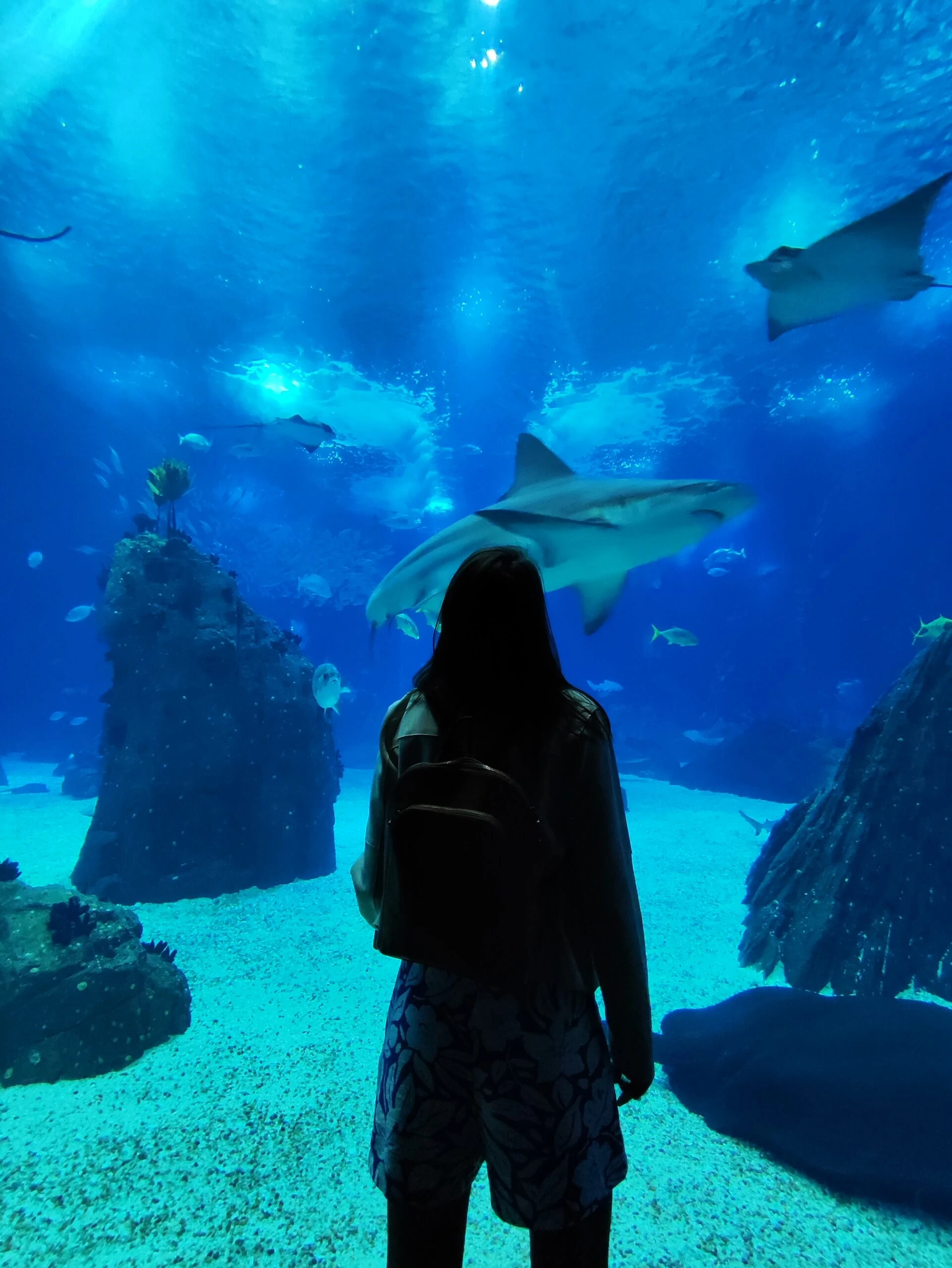 Oceanário Lisboa - Official Tickets 2026